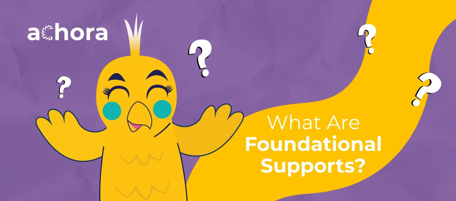 What Are Foundational Supports? | NDIS vs Foundational Supports